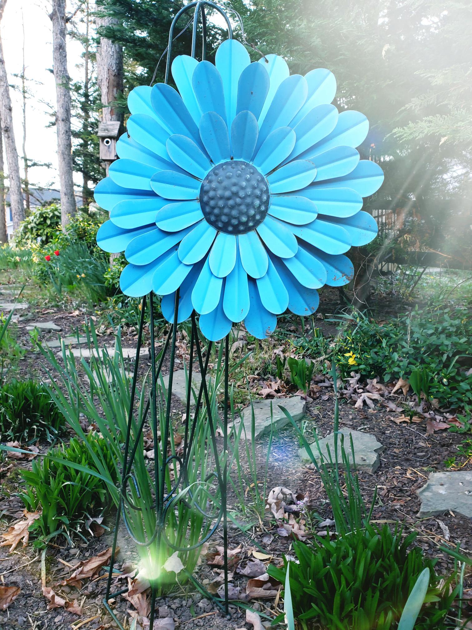 There is Hope in the House Hunt - Chris Ann Cleland